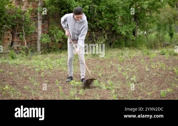 Teenage boy doing paid work, hoeing weeds in garden. Adolescent boy ...
