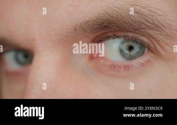 Man looks curiously into camera. Intense gaze with gray eyes. Male face ...