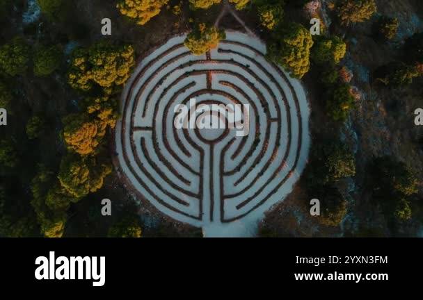 Top view of circular labyrinth surrounded by lush greenery. Hedge maze ...