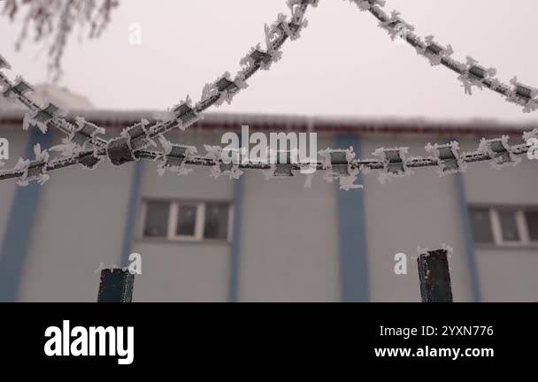 Sharp barbed wires covered in crystal-like ice, creating a chilling ...