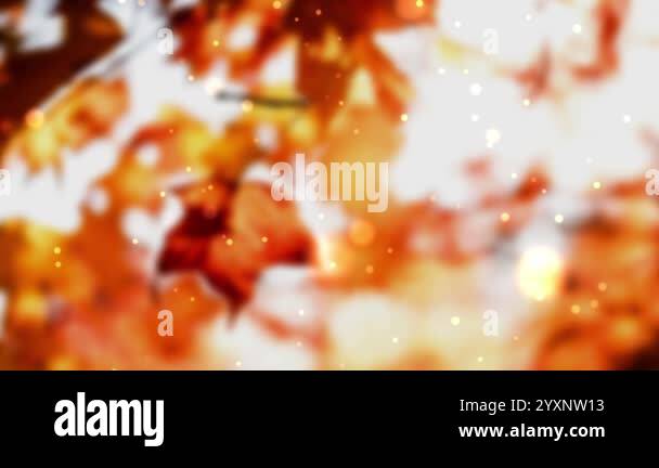 Ambient autumn animation background with light particles Stock Video ...