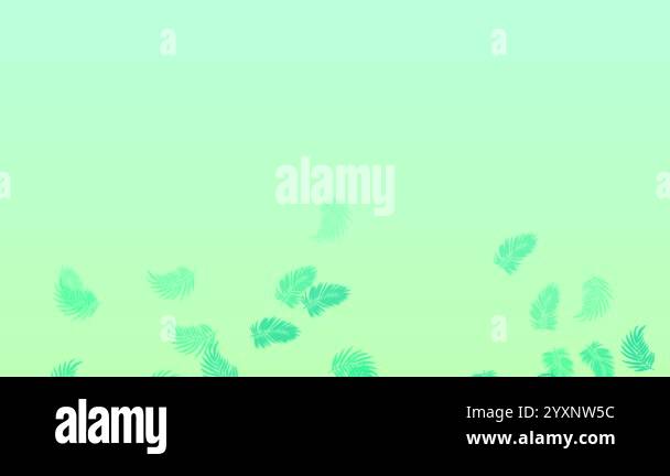 Tropical leaves animated summer background Stock Video Footage - Alamy