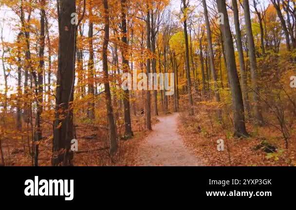 Picturesque hiking Cliff-Top Side Trail at Mono Cliffs Provincial Park ...