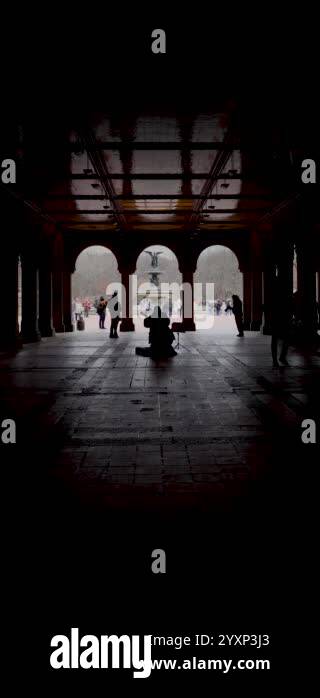 Footage of Central Park in the city of New York in the USA, taken on a ...