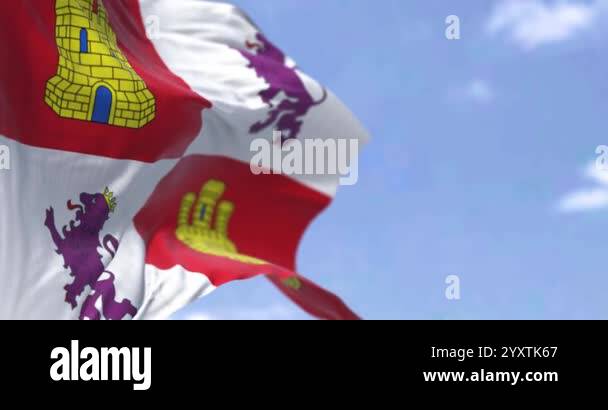 Close-up of Castile and Leon flag waving on a clear day. Autonomous ...