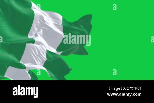 Nigeria national flags waving isolated on green background. Seamless 3D ...