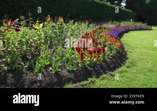 A landscape design featuring a flower bed adorned with summer blooms ...