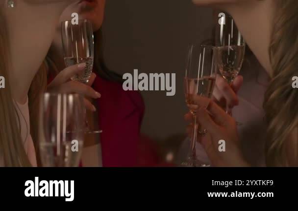 Pre-wedding girlfriends party. Group of young women friends and bride ...