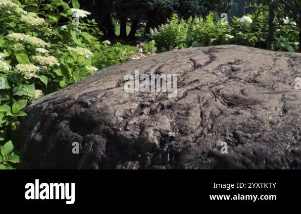 A close-up view of a large boulder, showcasing its textured surface in ...