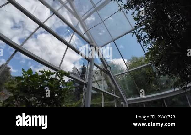 Butterfly house interior, butterflies conservation Stock Video Footage ...