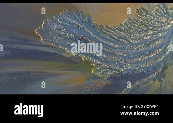 Aerial view of mud formations resembling tree branches, showcasing dramatic textures and organic ...