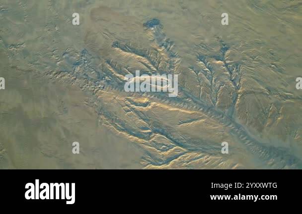 This aerial video captures intricate mud formations that resemble patterns of branching trees ...