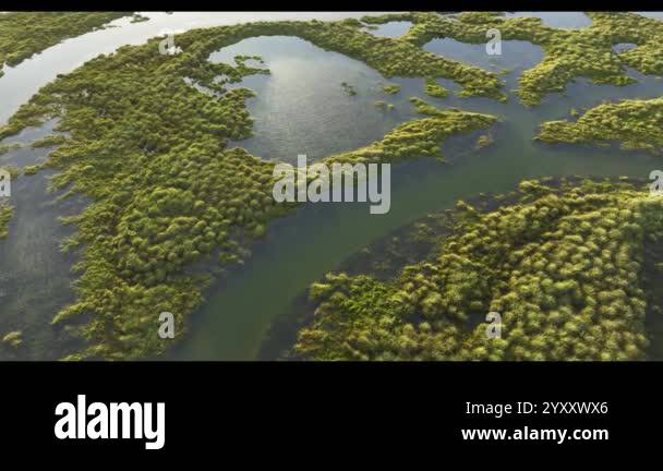 A stunning aerial view captures the lush green vegetation and serene ...