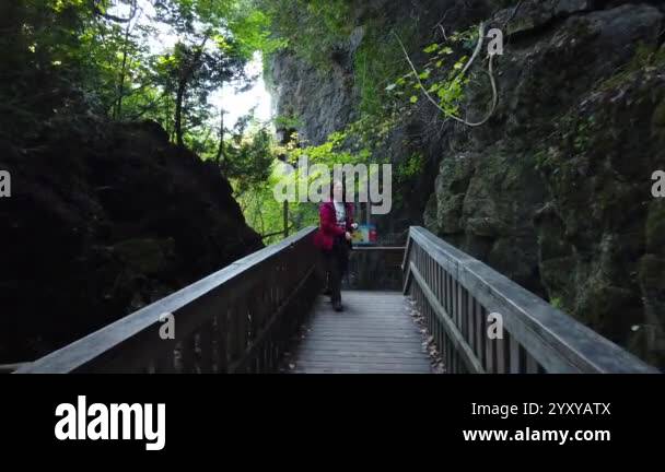 MONO, CANADA - OCTOBER 15, 2024: Walking by Cliff Top Side Trail at ...