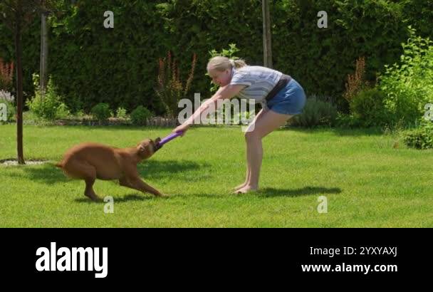 A playful interaction between a woman and her dog in a sunny backyard ...