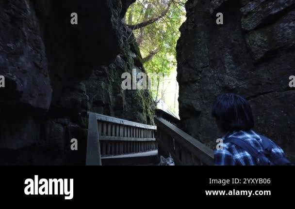 MONO, CANADA - OCTOBER 15, 2024: Walking by Cliff Top Side Trail at ...