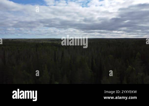 Flying up revealing forest and marsh wilderness landscape of Lapland ...