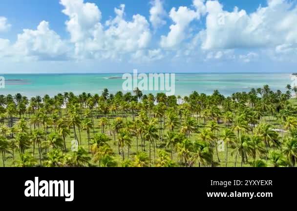 Northeastern Brazil Skyline At Sao Miguel Dos Milagres In Alagoas ...