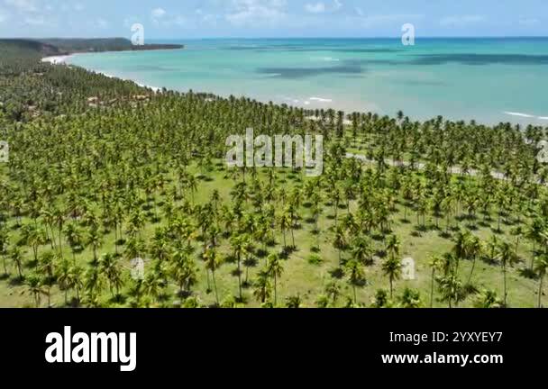 Northeastern Brazil Skyline At Japaratinga In Alagoas Brazil. Caribbean ...