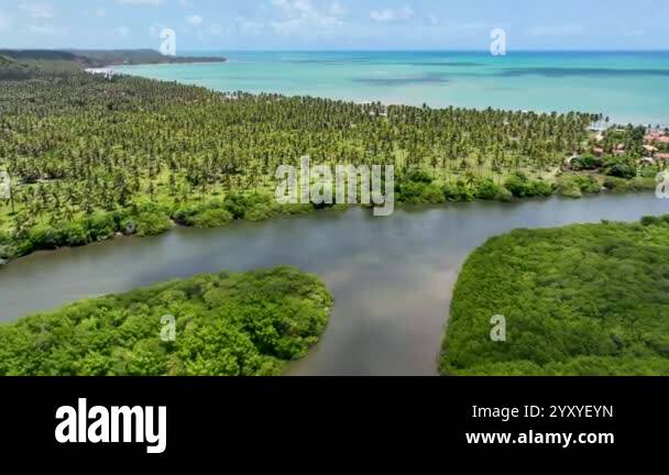 Northeastern Brazil Skyline At Japaratinga In Alagoas Brazil. Caribbean ...