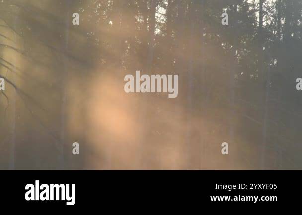 Eastern light Stock Videos & Footage - HD and 4K Video Clips - Alamy