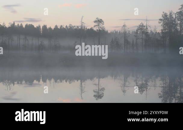 A swampy pond in the forests of eastern Finland in summer night with ...