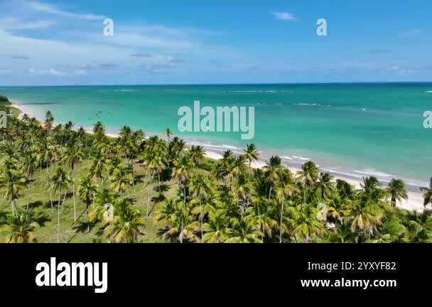 Northeastern Brazil Skyline At Sao Miguel Dos Milagres In Alagoas ...