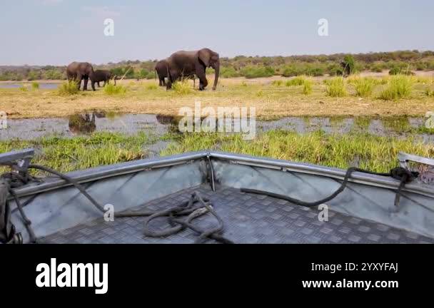 Safari Tour At Okavango Delta In National Park Botswana. Africa Safari ...