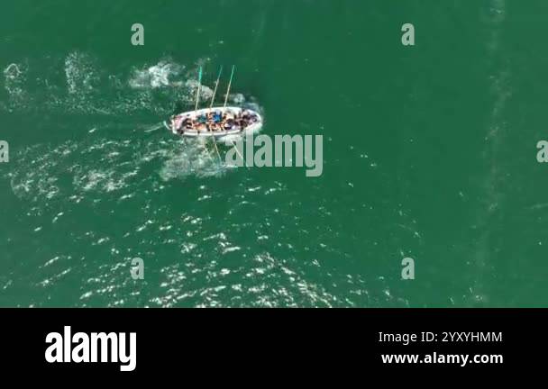 Boat team Stock Videos & Footage - HD and 4K Video Clips - Alamy