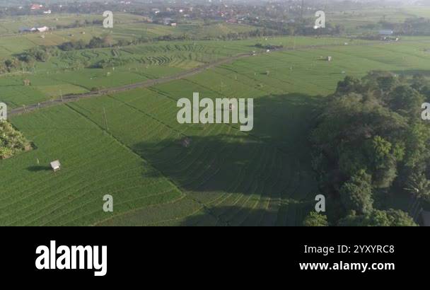 Aerial of an Inland Residential Area and Rice Fields in Bali, Indonesia ...