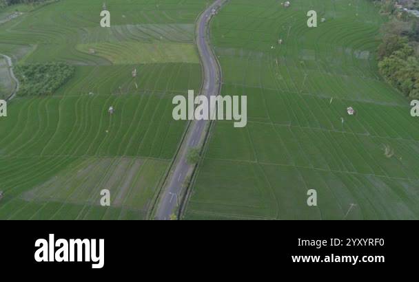 Aerial Closeup of an Inland Residential Area, Bali, Indonesia Stock ...