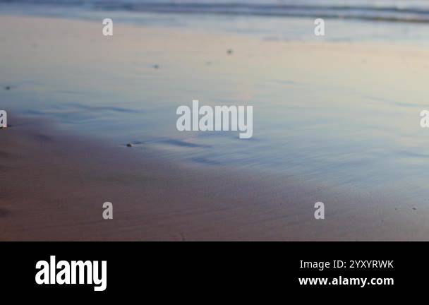 girl throwing out trash on the beach. garbage in nature. bottle on the ...