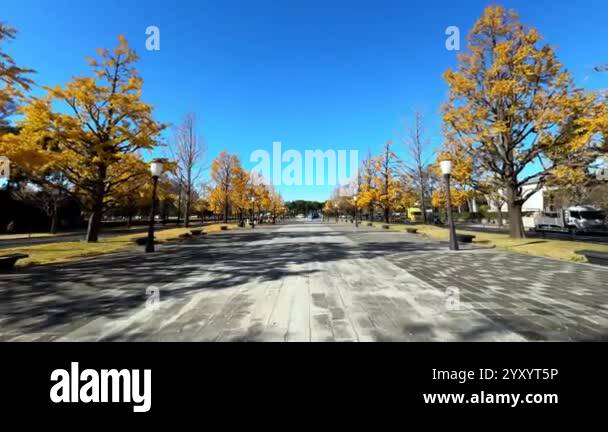 Seoul color park Stock Videos & Footage - HD and 4K Video Clips - Alamy
