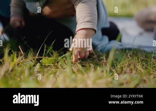A close-up photo of a babys hand reaching out towards the grass during ...