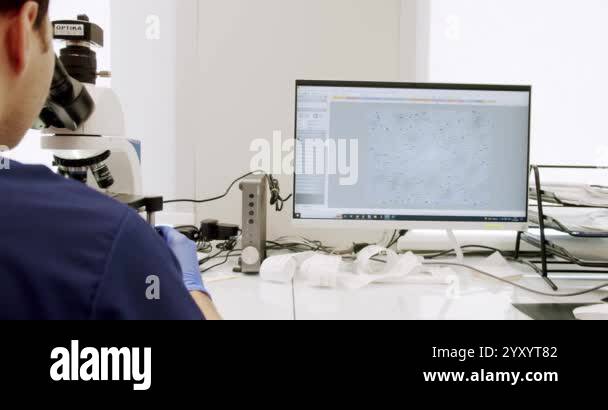 Scientist in sperm laboratory. Lab worker is regulating a microscope ...
