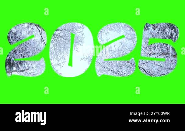 Happy NewHappy New Year 2025. Green Screen New Year Celebration Concept ...