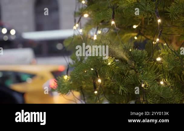In a bustling city street, a beautifully illuminated evergreen tree is ...