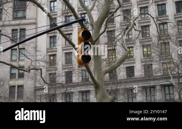 Unusual traffic signs Stock Videos & Footage - HD and 4K Video Clips ...