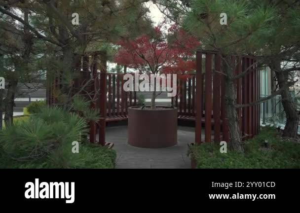 Garden focal tree Stock Videos & Footage - HD and 4K Video Clips - Alamy