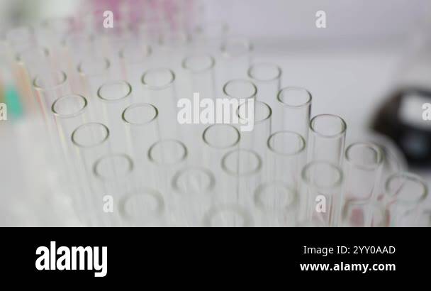 Laboratory assistant places test tubes into rack carefully. Lab worker ...