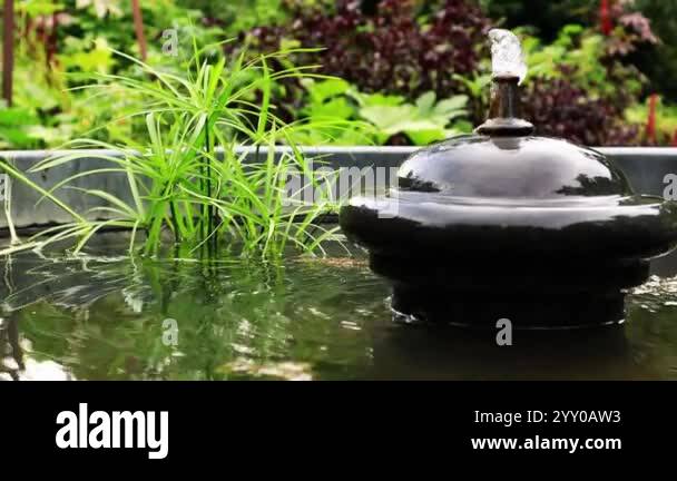 Decorative fountain with clear water in a pond in formal botanical ...