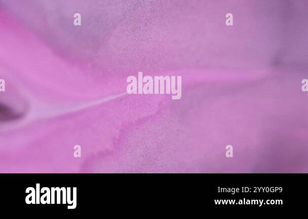 Shining wave. Ink motion. Sparkling fluid. Glowing abstract paint ...