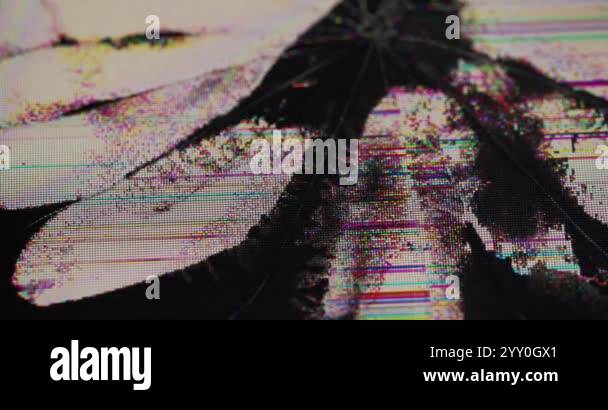 Broadcast damage. Shattered screen. Matrix glitch crackle deformation ...