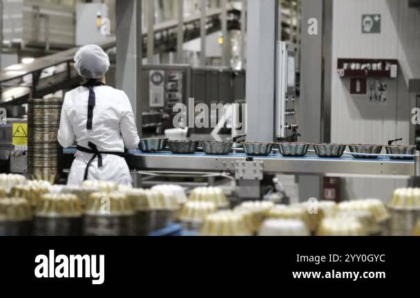 A worker at a modern bakery places cupcake pans on a conveyor belt ...