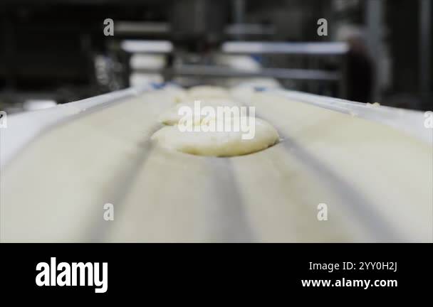 Pieces of dough move along a conveyor belt in a modern bakery to bake a ...