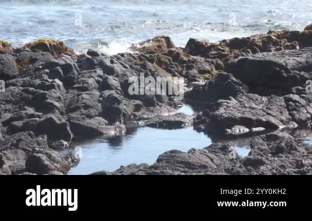 Scenic water inlet with waves rolling against the rocks at a tropical ...