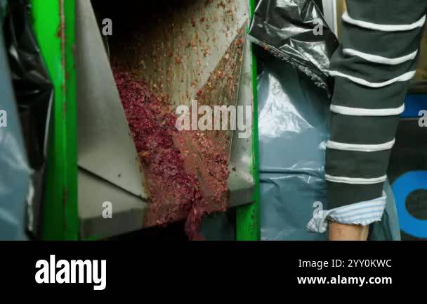 Process of mincing meat to form appropriate condition. Special ...