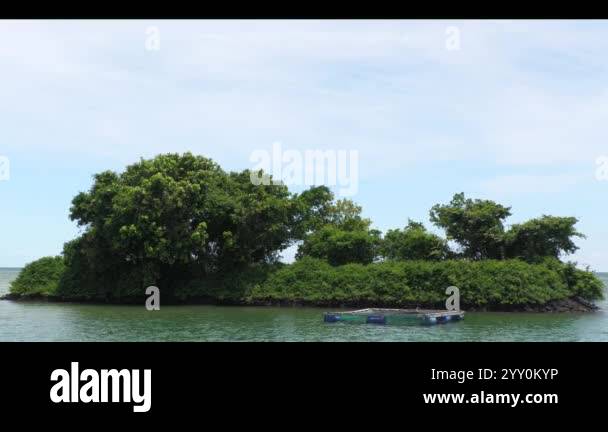 Steady footage of a tiny islet covered with lush plants and young trees ...