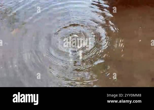 4k video. Water fountain flowing on surface forming circle ripples and ...