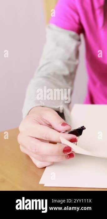 Professional home office freelancer or student doing paperwork. Close ...